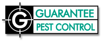 Guarantee Pest Control – Your Satisfaction Guaranteed